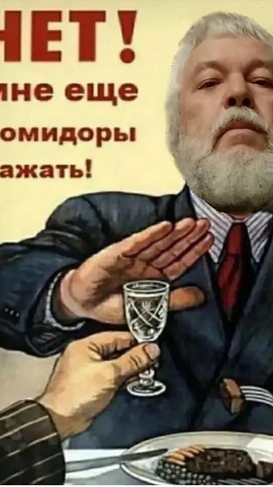 Готовим рассаду томатов