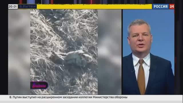 Дай руку друг