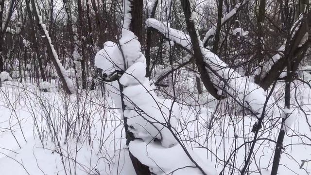 Прогулка по парку