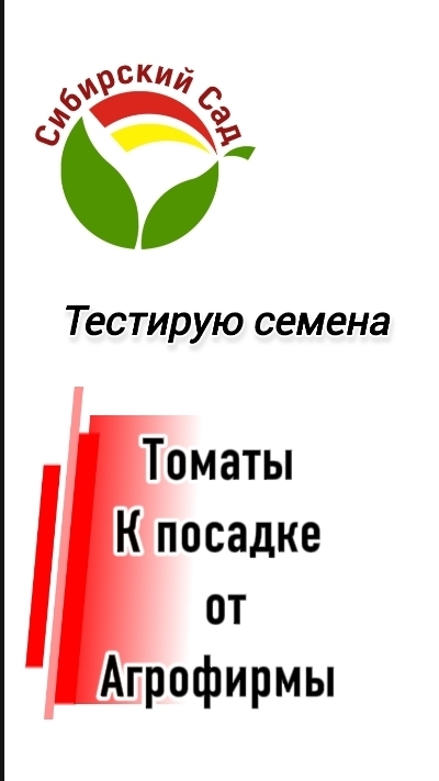 УДАЧНЫЕ томаты от СибСада👌