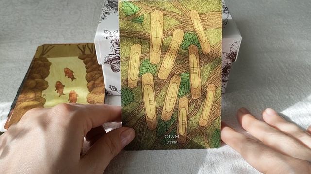 МАК Колесо Года. Обзор колоды.