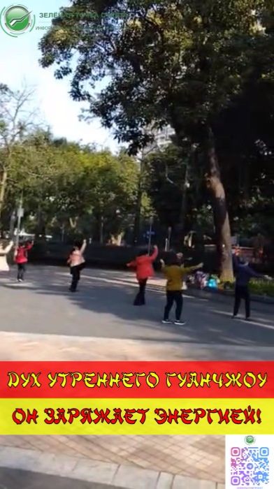 Заряжаясь утренним вайбом города цветов - по делам из Гуанчжоу в Шэньчжэнь на скоростном поезде...