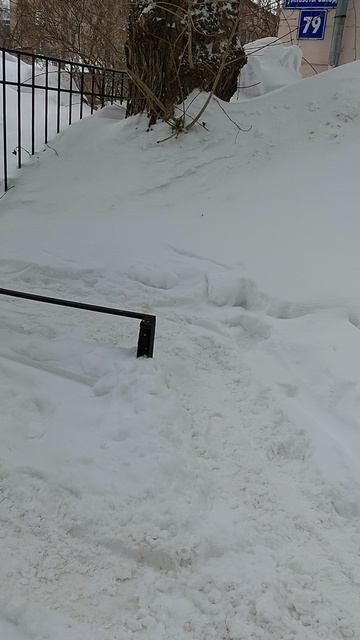 №1663 Двор П. Осипенко 48. 11 марта 2026 г., 13:53:57 VID_20260311_135258159