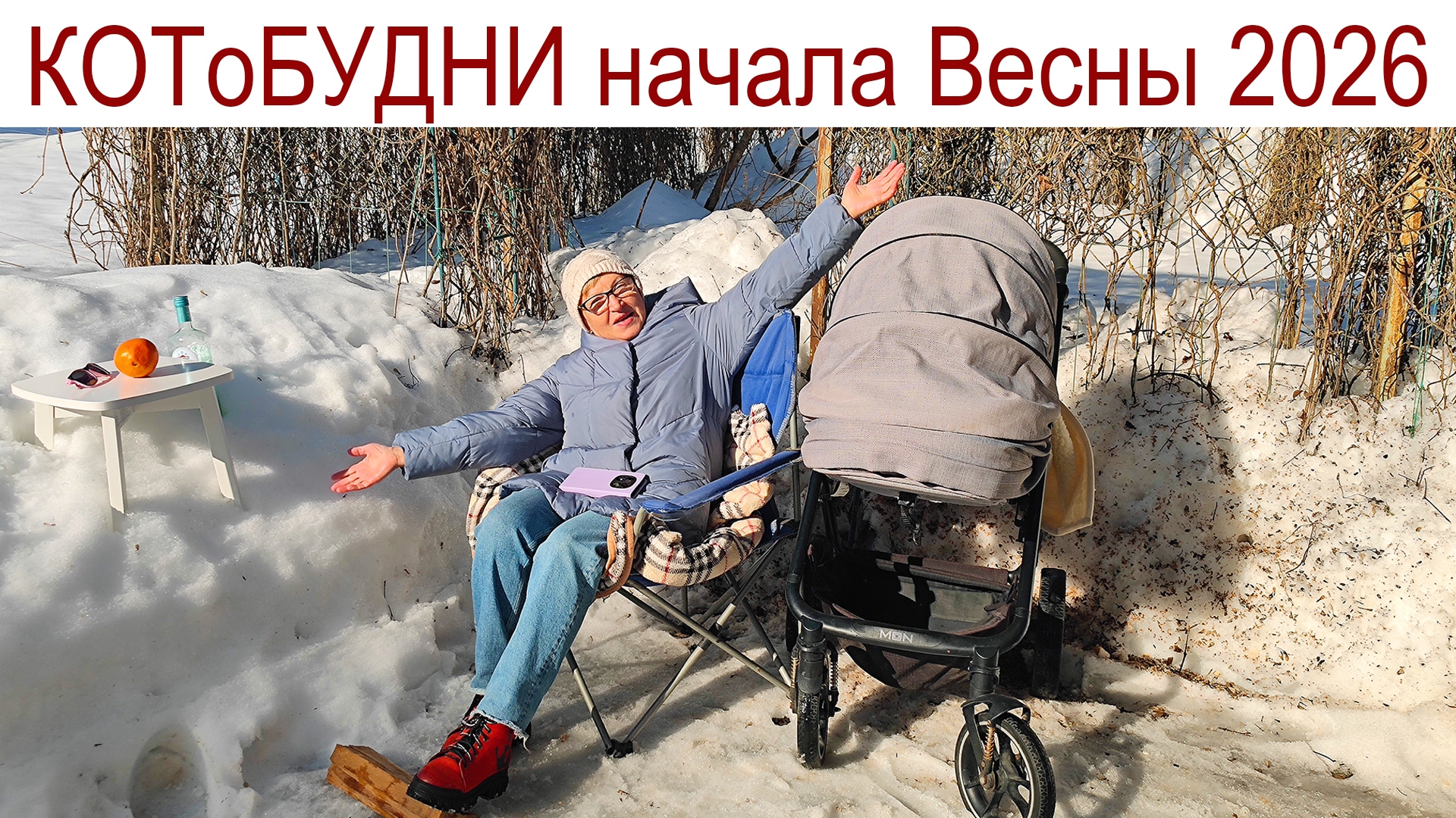 Травка зеленеет Солнышко блестит... или КОТоБУДНИ от 10 марта 2026 г.