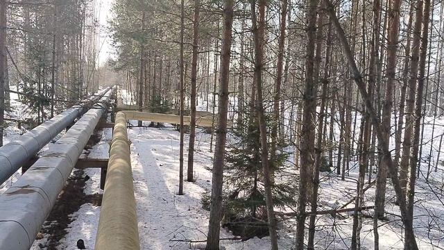 11.03.26 Полдень