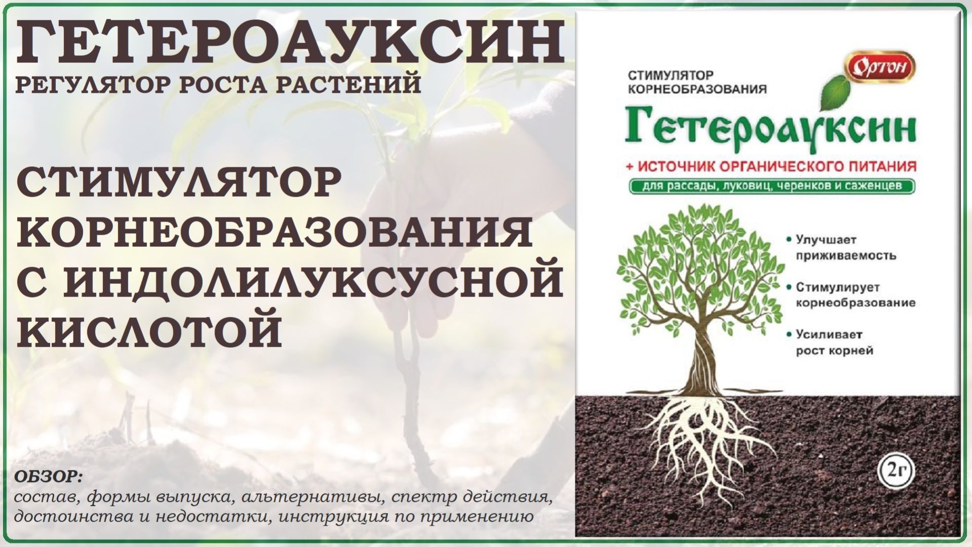Гетероауксин - стимулятор корнеобразования с индолилуксусной кислотой. Обзор регулятора роста