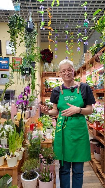 Живые или мёртвые?