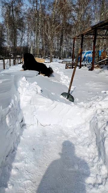 Весна там, где мы её лопатой накопаем 😉