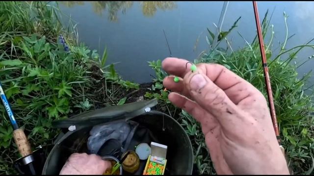 ЗЕРКАЛНЫЙ КАРП на КуКУРУЗУ..Лесное Озеро (5)