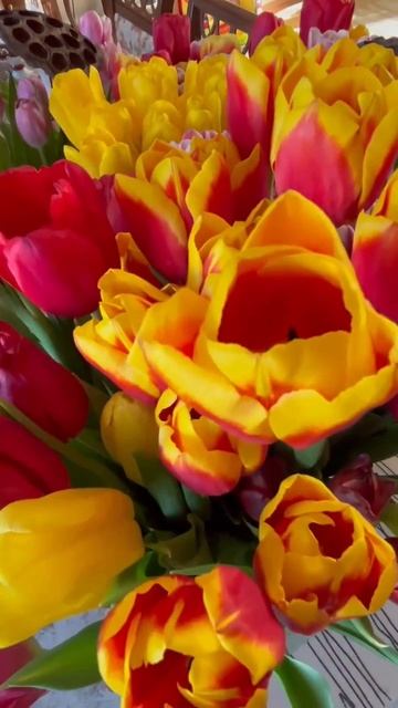 Тюльпанный рай!