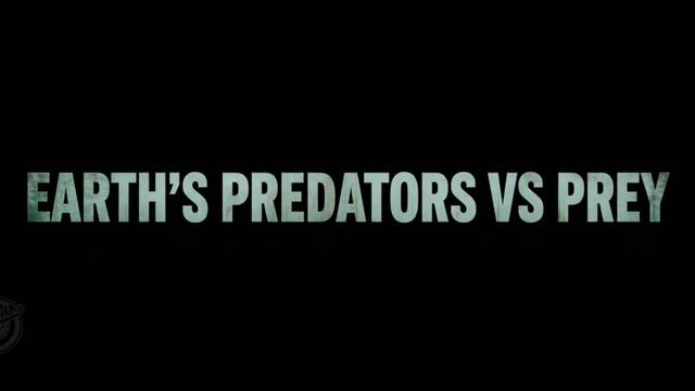 Чужой против Хищника 3 фильм трейлер 2026