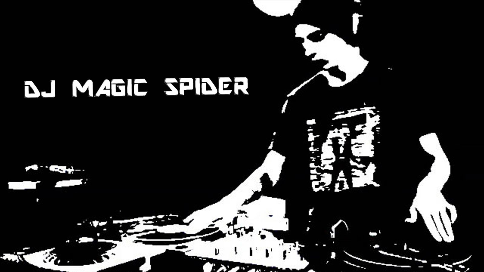 Dj Magic Spider - Oldschool music compilation [Vinyl]