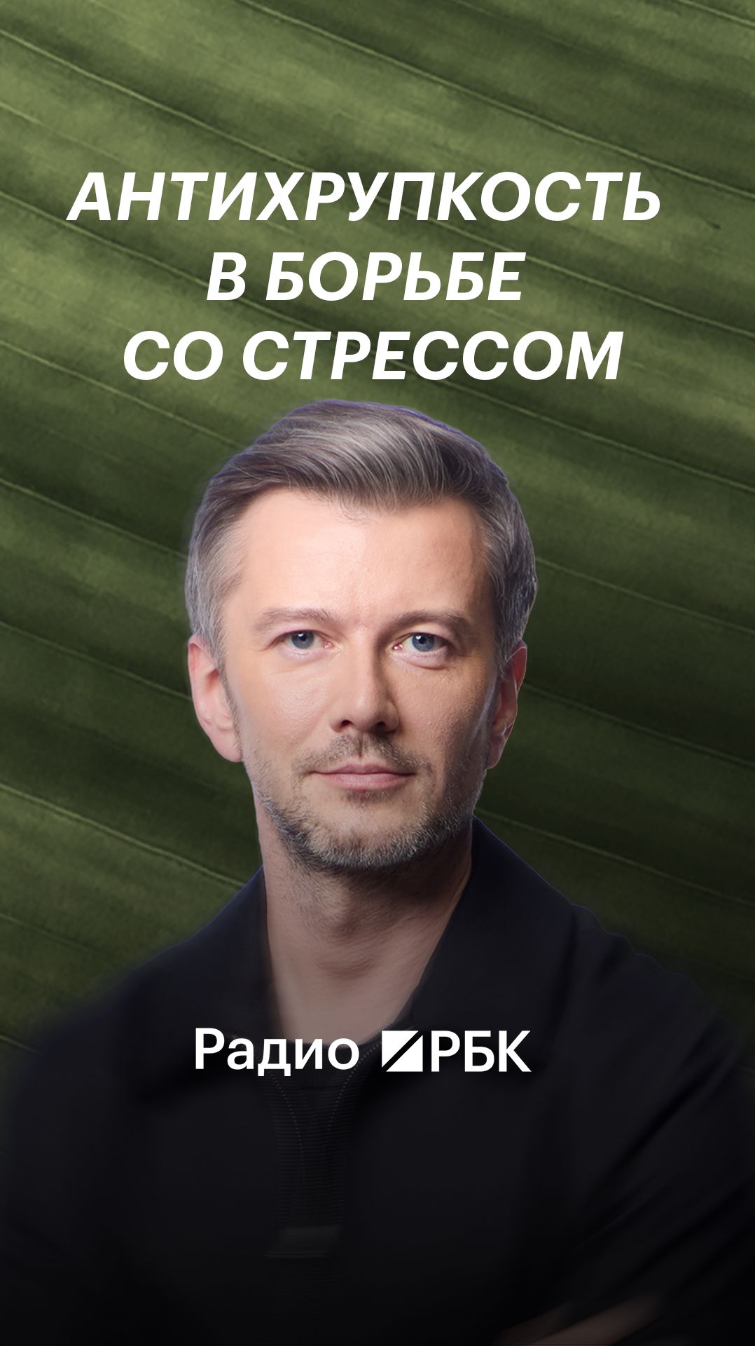 Что такое антихрупкость и почему она стала метанавыком