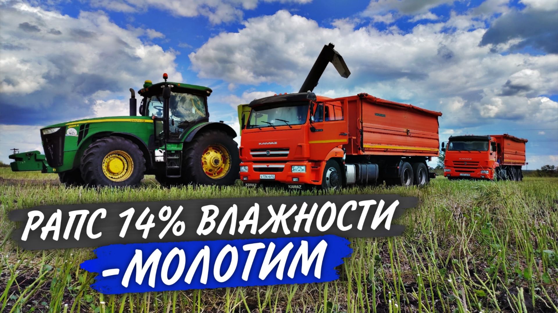 "ЗАБИЛИ" на влажность РАПСА и начали уборку в 9 УТРА! Но день снова кончился дождём...