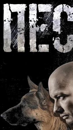 Пёс 2 Бессмертный Гнездилов Смешные моменты