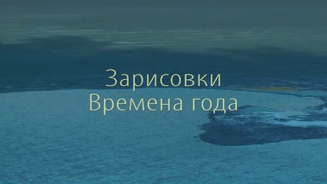 Времена года 2013