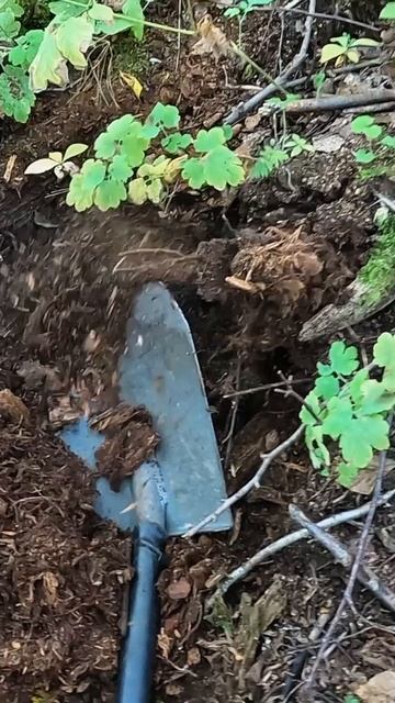 Лето, коп, находки!