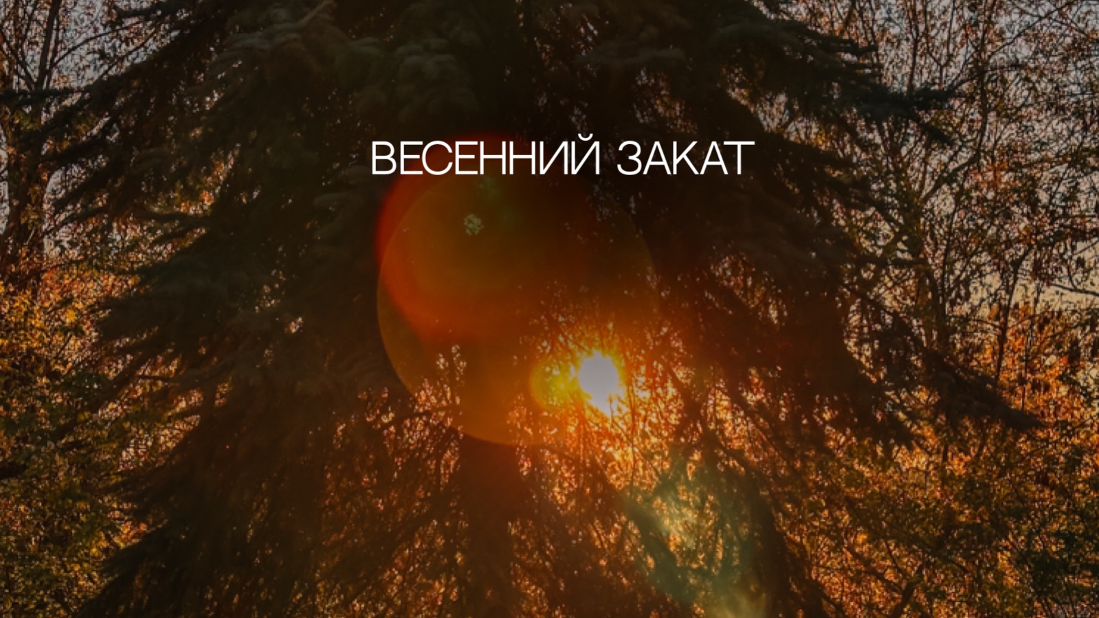 Весенний закат