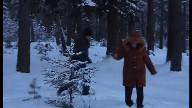 Трое вокруг елочки в лесу.