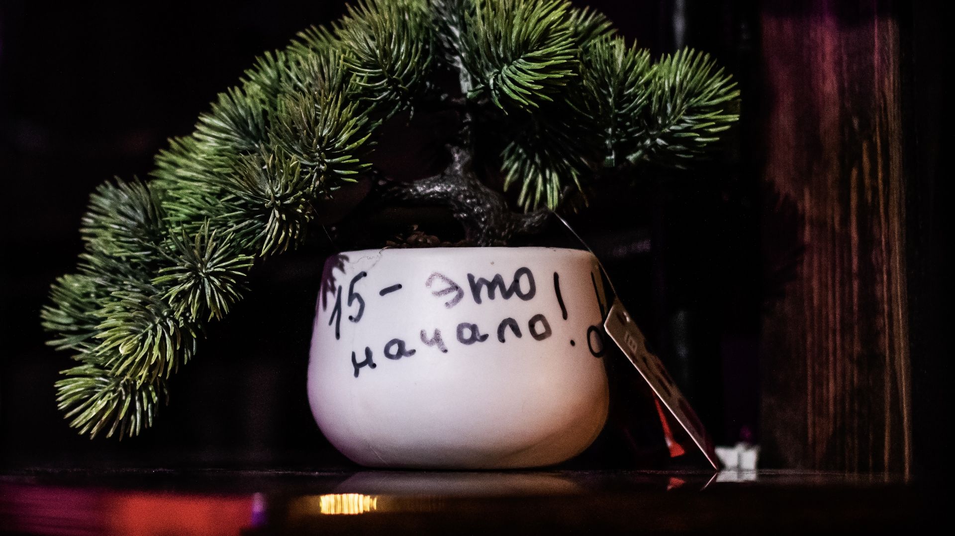 01_ТЫ_МОЕ_ПЛАМЯ_2026_02_28