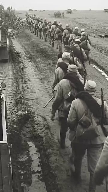 Дубрава #песнидлядуши