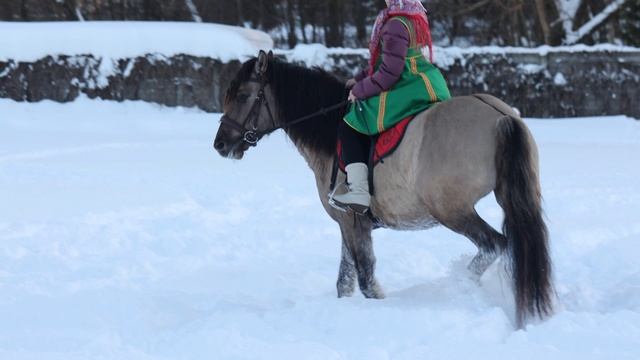 Масленица 2026