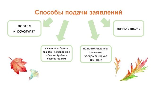 поступление в 1 класс 2026 год