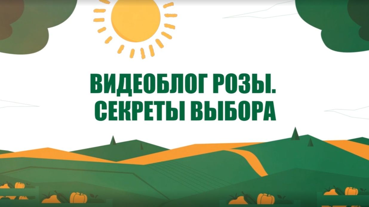Все о королеве цветов: как правильно выбрать розу