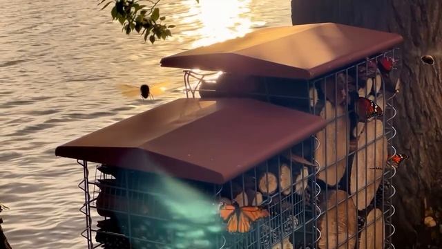 Итоговый видеоролик