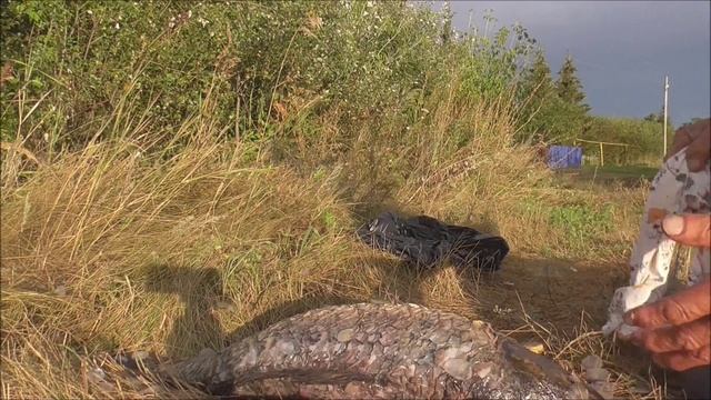 Мой фильм  Делаем новые ворота!