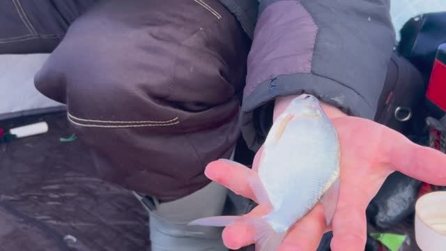 В палатке на реке Проня.