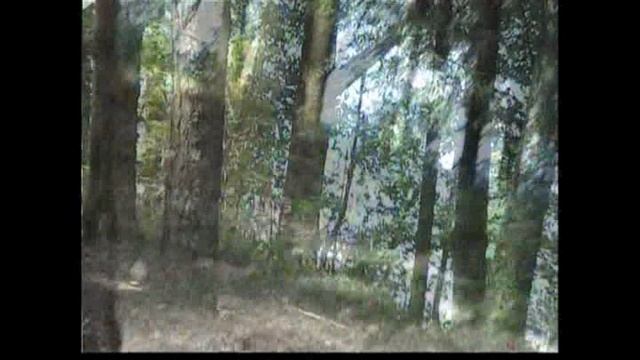 Я любовью болею давно.Песня.