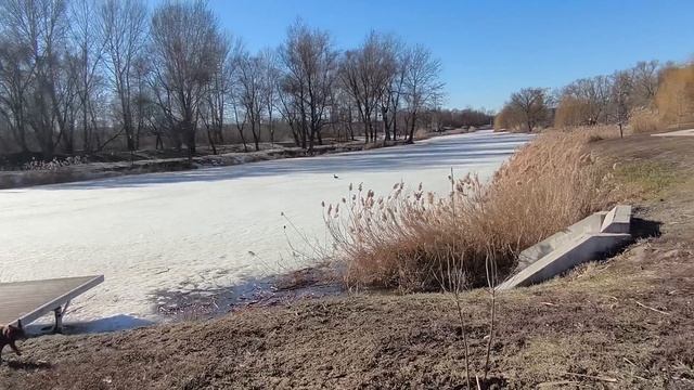 Прогулка под ракетную опасность 11.03.26.