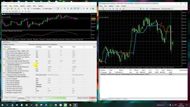 Видео обзор советника - мультицикличный скальпер для торговли на Золоте - GOLD MILTI CYCLE SCALPING