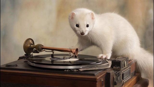 Перехват мошеннических звонков.