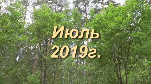 Страницы из 2019г 16ч