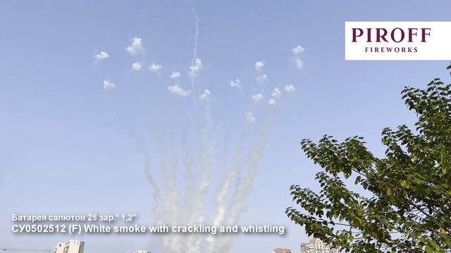 СУ0502512 (F) White smoke with crackling and whistling