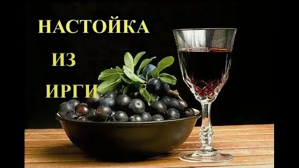 НАСТОЙКА ИЗ ИРГИ ЧУДО ЯГОДА #настойка #простойрецепт #ирга #ягода