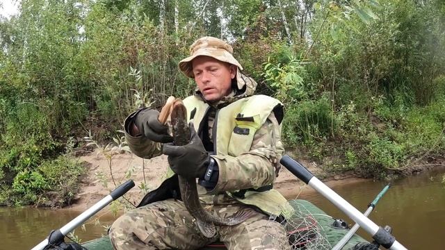 🔺️🎣ЗАВЕС🎣🔺️fishing#туризм#природа#ловля#рыбалка#щука#ловлящуки#ночевка#Чулым#река#спиннинг