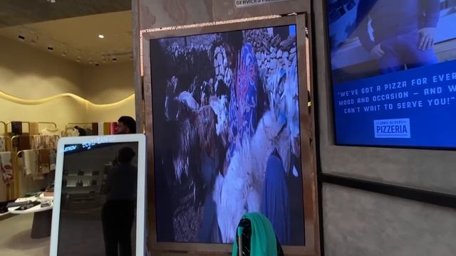 Catrin de Moore/Аэропорт Бангалора, мой любимый аэропорт. Вылетаю в Хошимин. Сады и тигры.