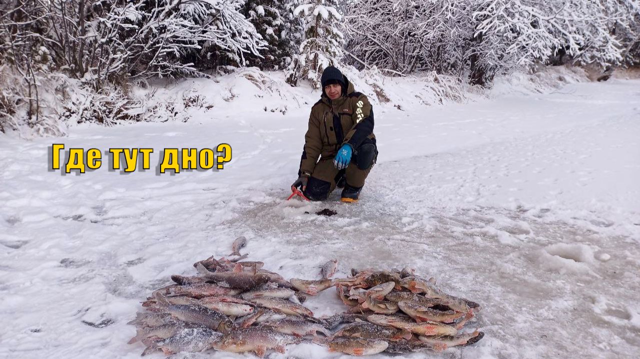Где тут дно? Тут только рыба! Подкова после первого льда. Часть 1. Зимняя рыбалка 2023.