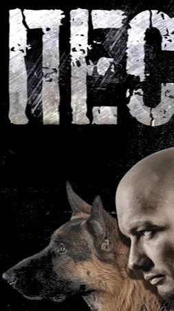 Пёс 2 А какой сигнал? Смешные моменты