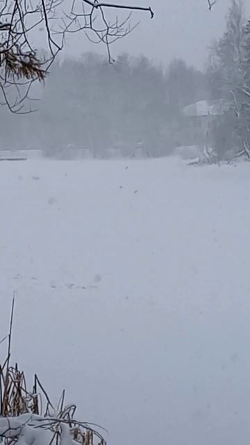 захарово 4 парк в усадьбе бабушки Пушкина