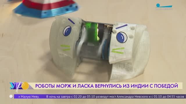 Роботы Морж и Ласка вернулись в Петербург с победой