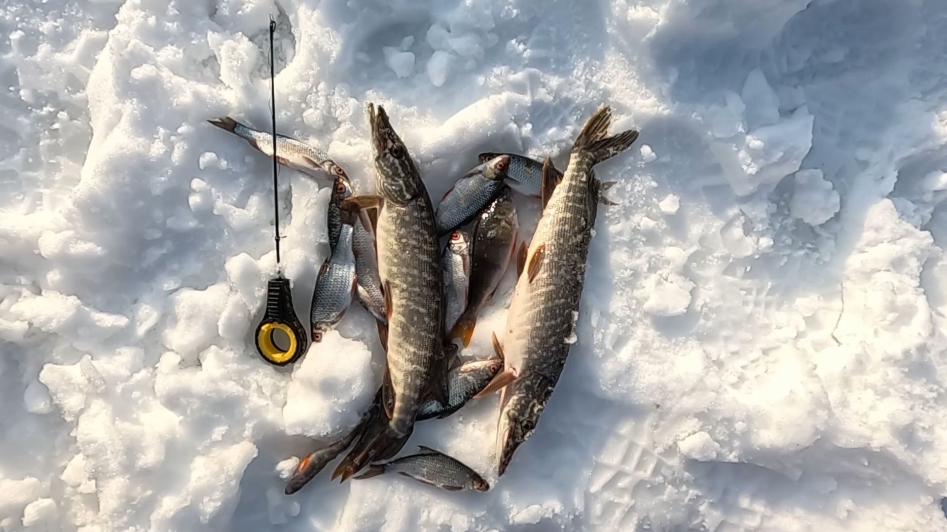За щукой на вибы! Первые тёплые мартовские деньки.