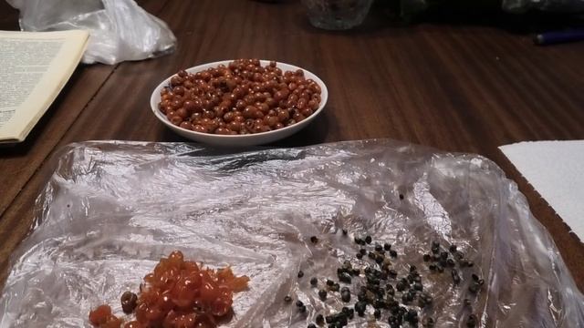 2-14 12 22г Северная Двина,о спарже.Делаем доски.Новодвинск.