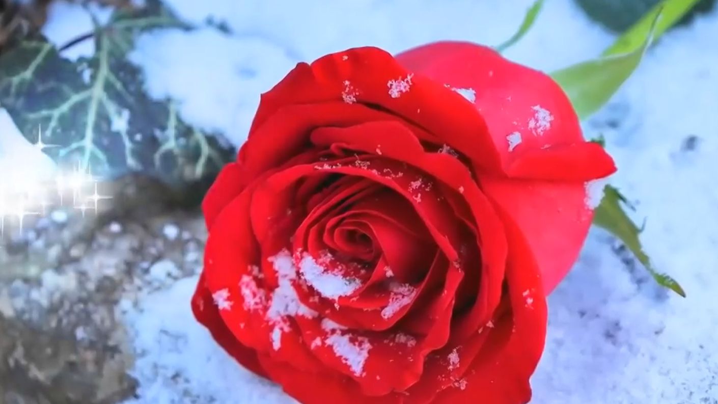 Одна из самых красивых, волшебных _ зимних мелодий. Сергей Грищук,