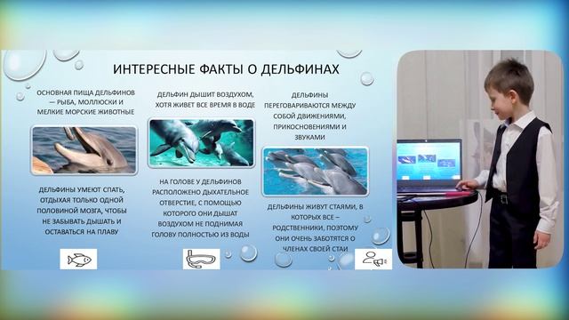 СОШ 18_ДО_Семицветик_Грушевский Кирилл_Мой добрый друг дельфин