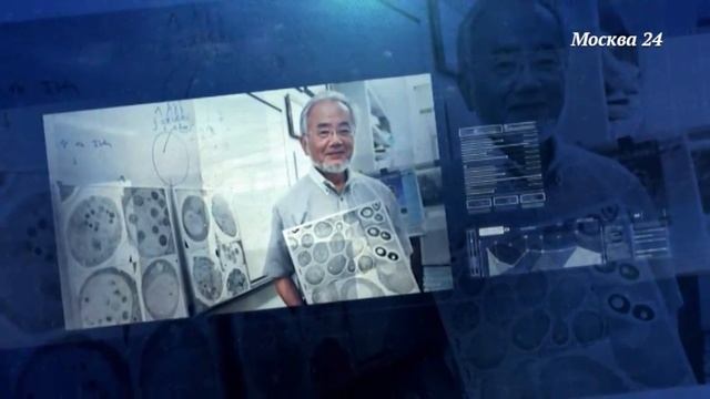 Как увеличить годы жизни