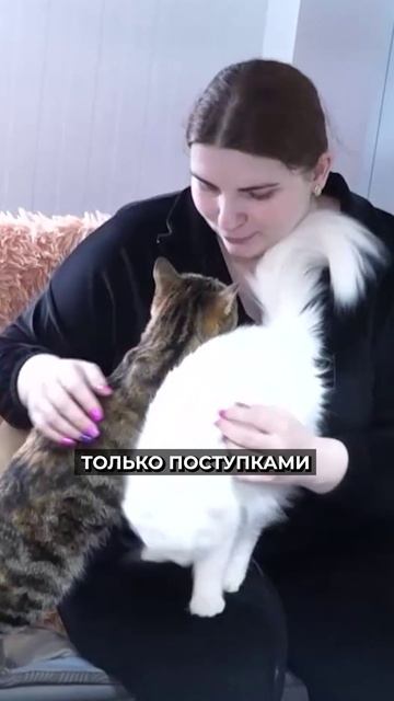 📍В дни открытых дверей в приюты Ямала пришли 1000 человек #новостирегионов #новости #янао